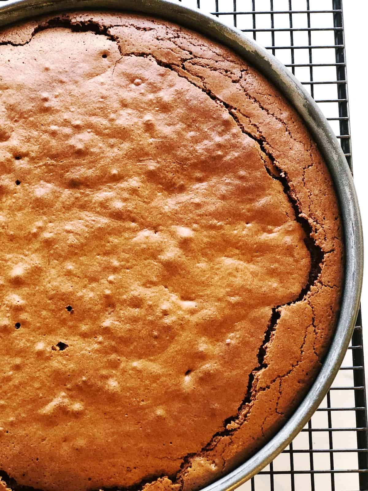 Italian Chocolate Cake (Italian Brownie Cake) - Keeping It Simple Italian
